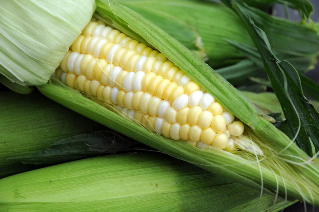 Barbecued Corn - Diet Recipe